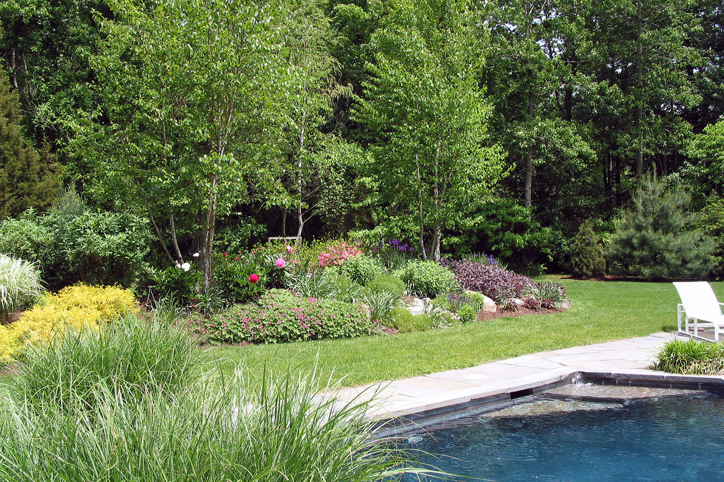 Greenscape Design LLC - Portfolio: Swimming Pool Planting